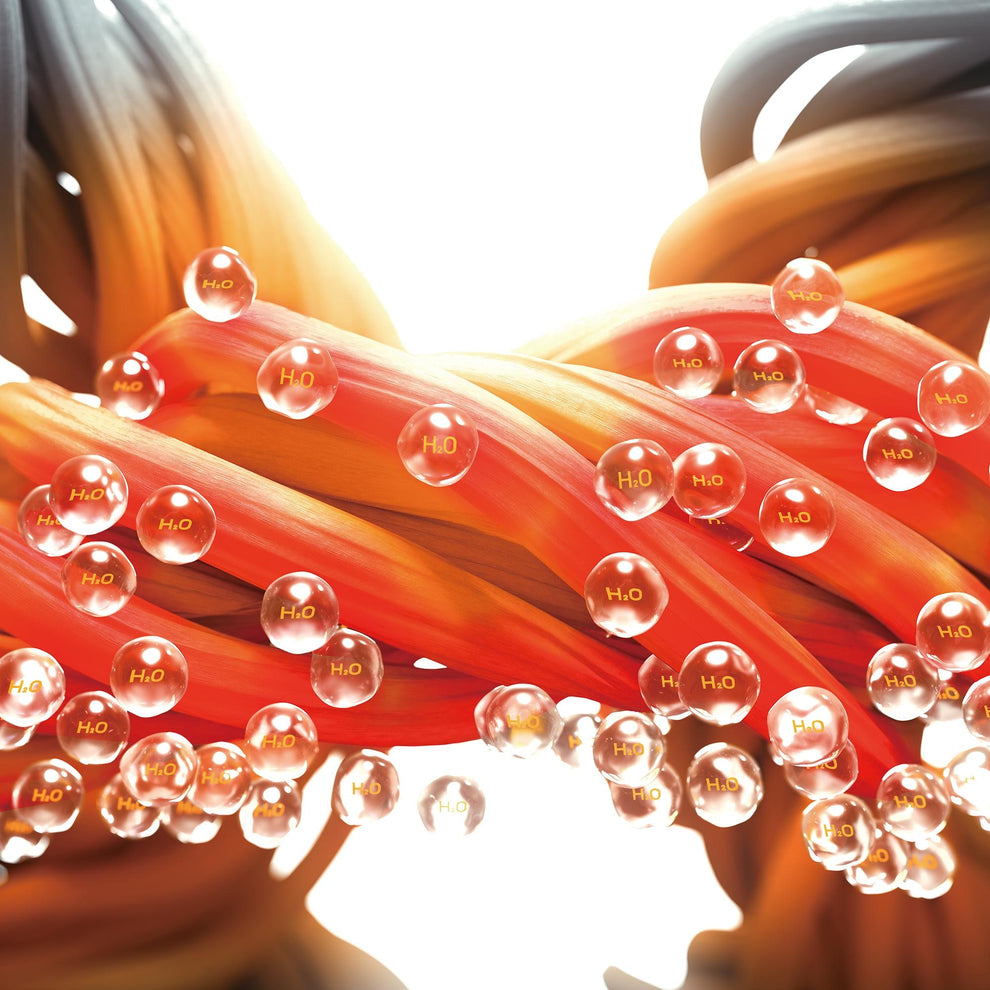 Uniqlo Women's Ultra Warm HEATTECH High Neck Thermal Top - Black ...